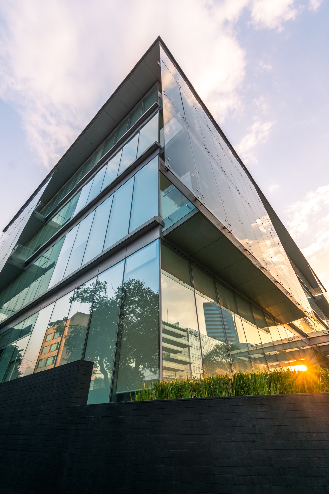 Corporativo Palmas - Helfon Arquitectos